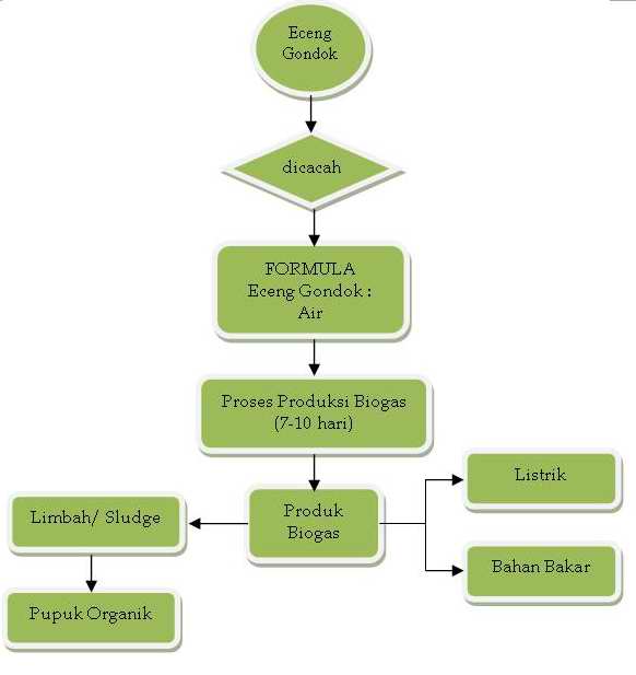 Cara Membuat Biogas Dari Kotoran Manusia – iFaWorldCup.com