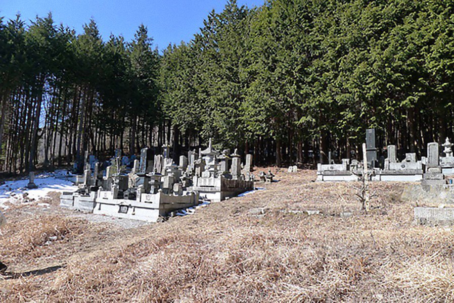 😄🤔😱 (@kami_greeeen) | Twitter