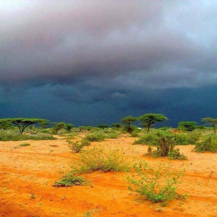 Somali Landscapes, Scenery, and National Parks | Picture Gallery | Page ...