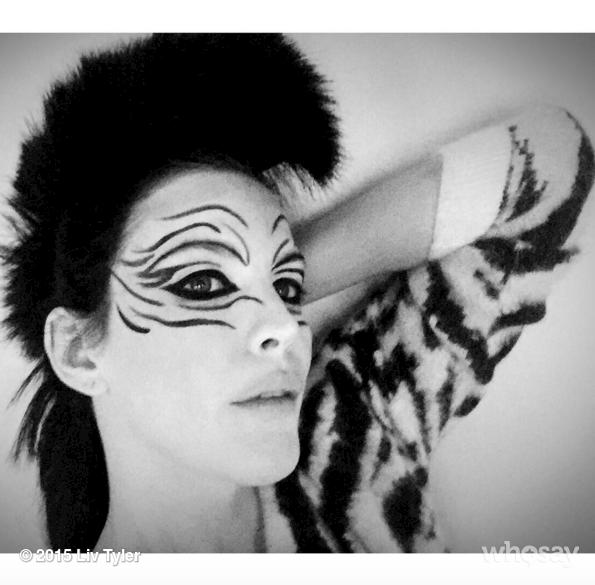 Zebra Makeup Ideas