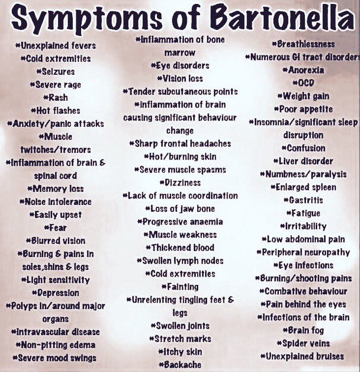 Bartonella Symptoms