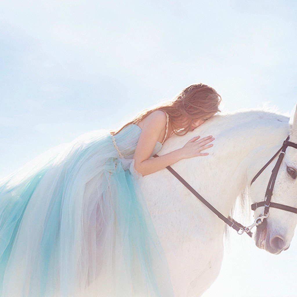 Sara Rastegar (@rastegar_sara) | Twitter