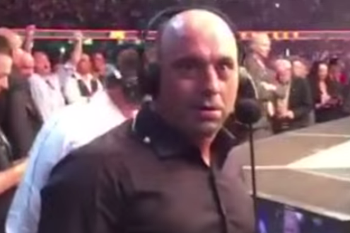 What are the most iconic photos in MMA? : r/MMA