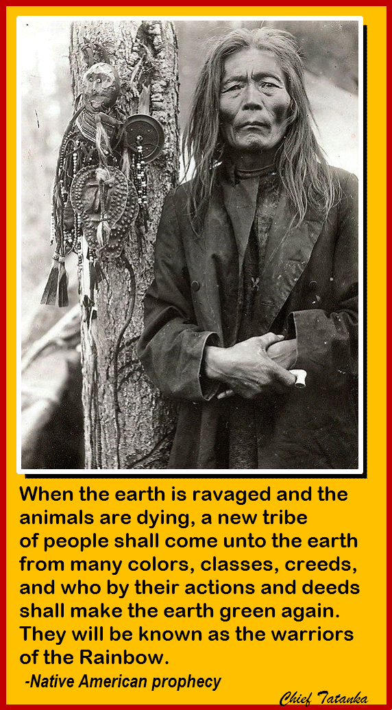 Native American Quotes About Animals