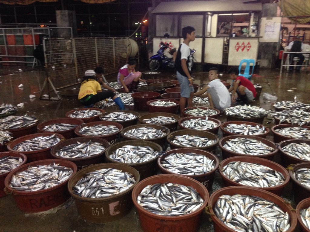 Sales at Navotas fish port affected by APEC2015 gridlock | via ...