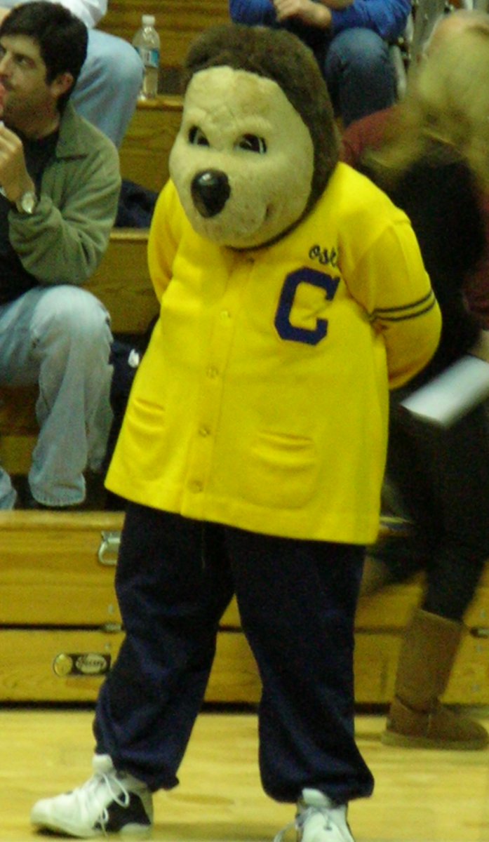 If Oski Bear fought Joe Bruin in a boxing match, who would win? : r ...