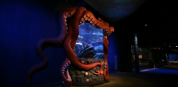 Tanked Octopus Tank