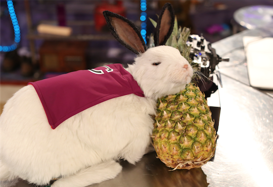 The Thundermans Dr Colosso