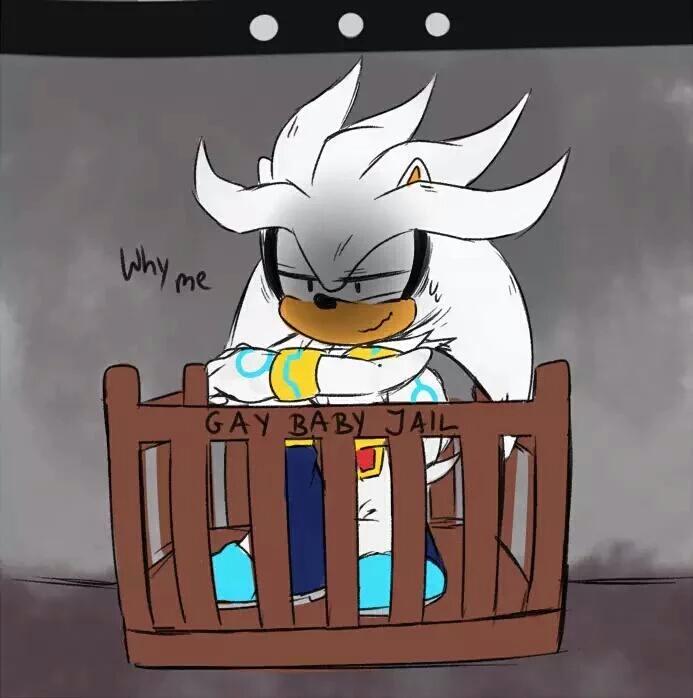 Silver The Hedgehog As A Baby
