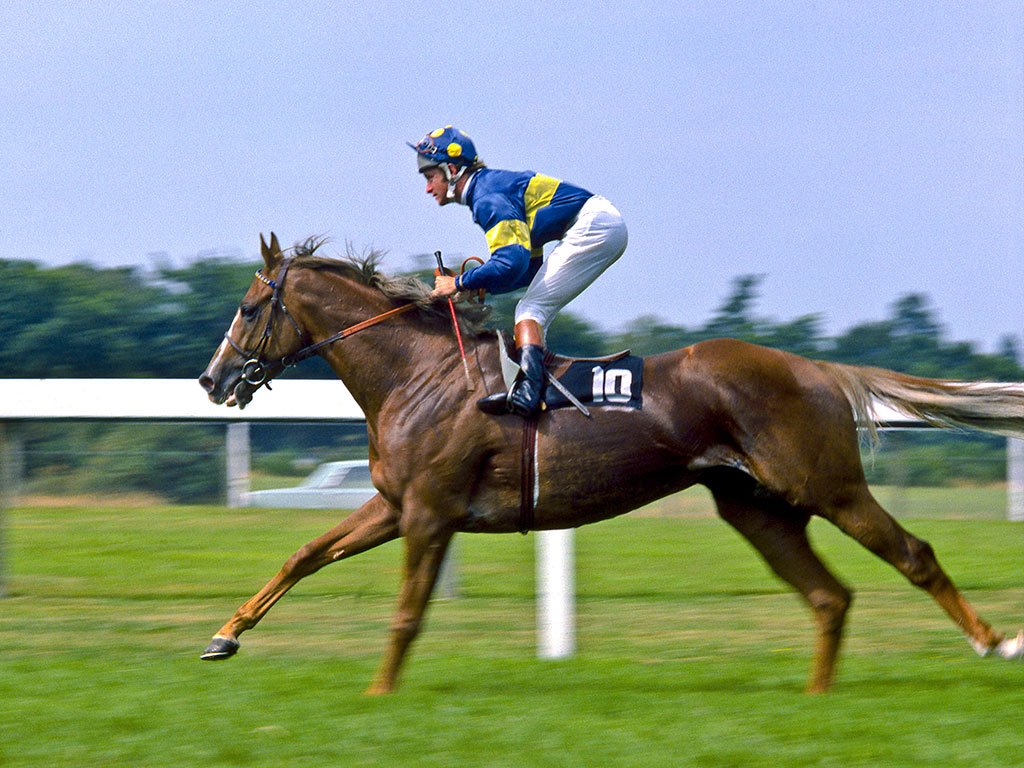 Brough Scott : Latest News, Breaking News Headlines | Scoopnest