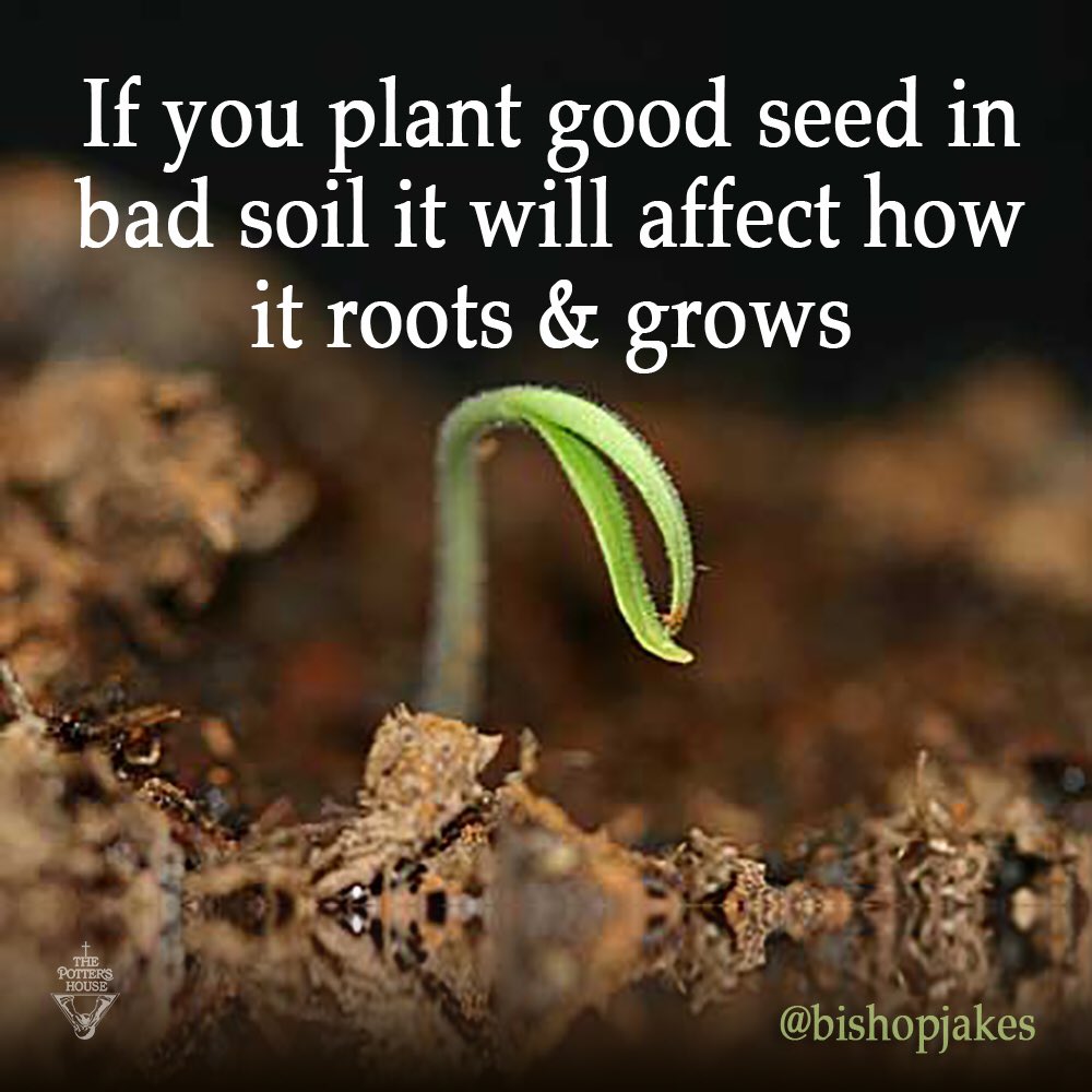 Planting Seeds Quotes