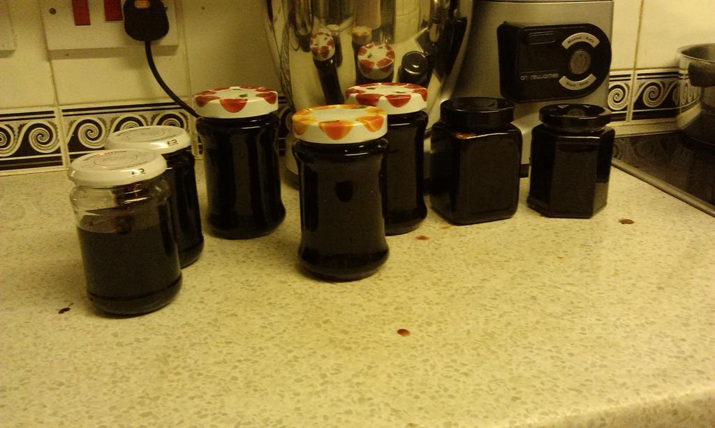 Blackcurrant Jam – A Han-made Blog