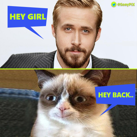 Ryan Gosling Happy Birthday Cat