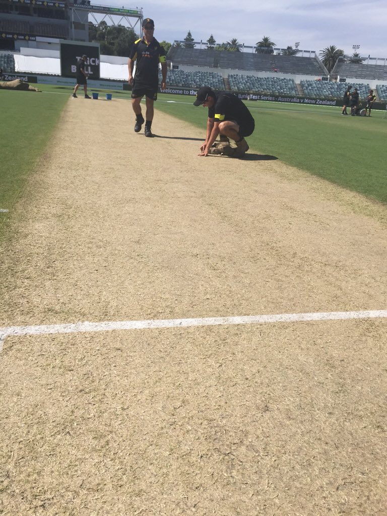 Aus v NZ: The WACA pitch one day out from the Test : r/Cricket