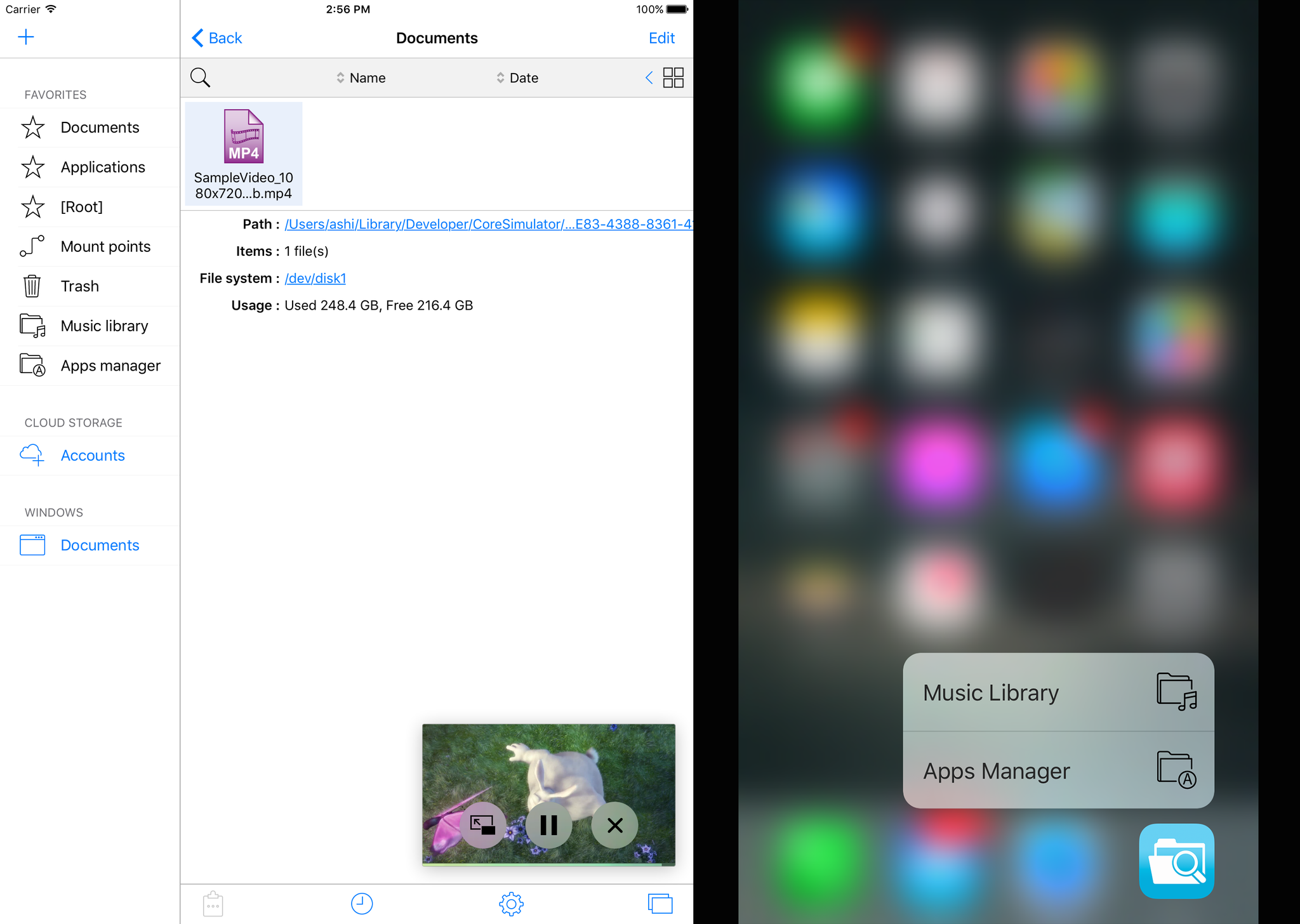 TIGI Software on Twitter: "Filza File Manager (beta): supports Picture in Picture, Homescreen ...