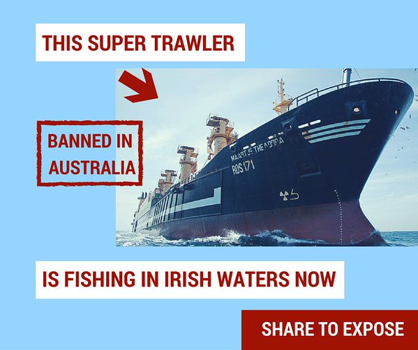Inside Super Trawler