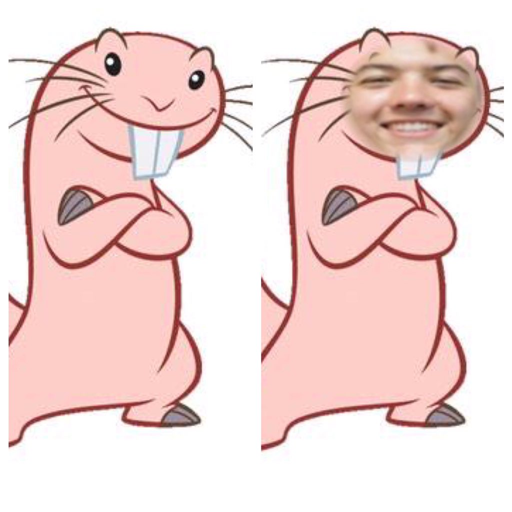 Kim Possible Characters Rufus