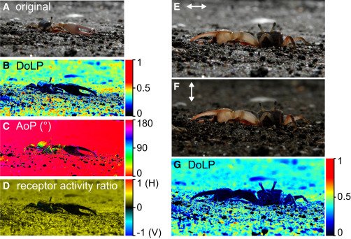 David Hool (@David_hool) | Twitter