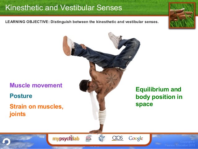 Kinesthetic Sense