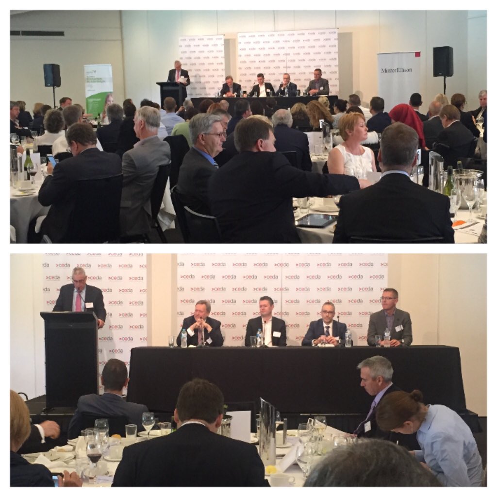 Bee Squared (@squared_bee) | Twitter