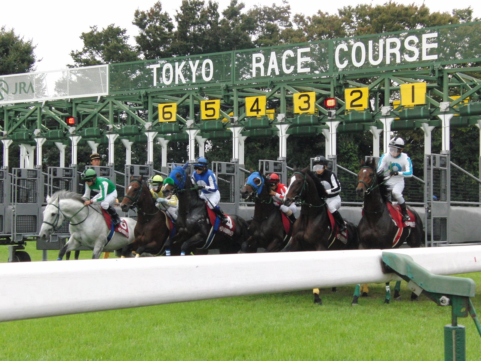 JRA競馬学校 on Twitter: "明日14日（土）、東京競馬場で騎手課程32期生の模擬レースを行います。東京競馬場にご来場の際は、ぜひご覧ください。 https://t.co ...