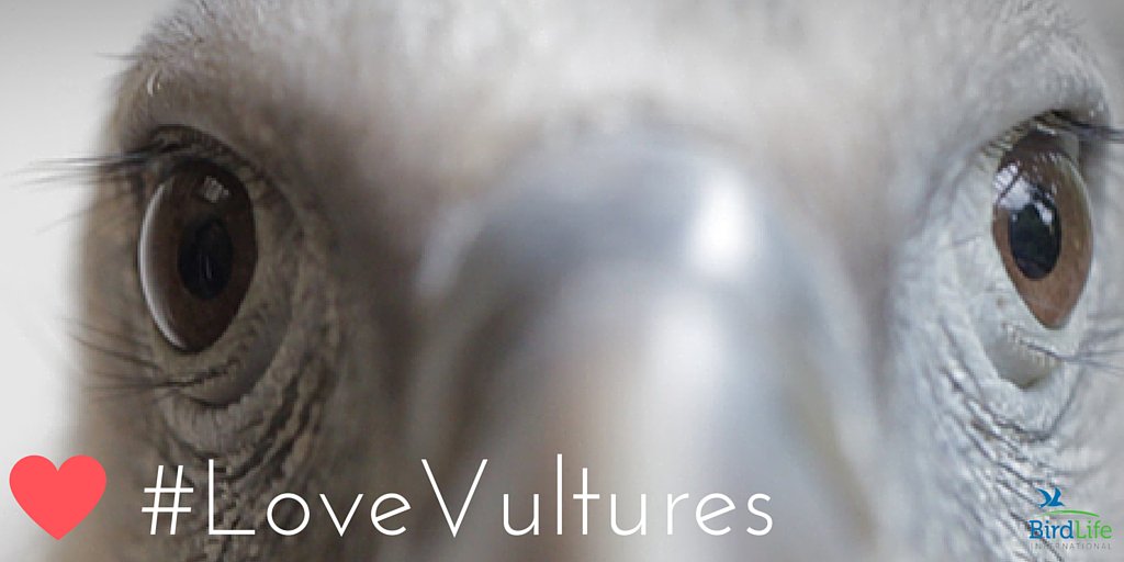 David Hool (@David_hool) | Twitter