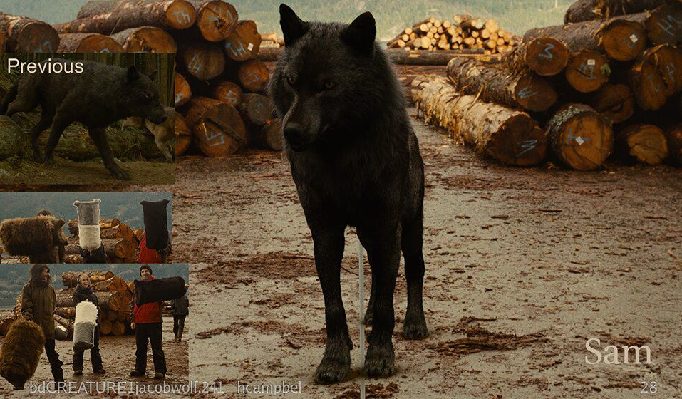 Werewolf Twilight Sam