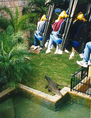 Inverted Coaster 1 is stuck at the station [Montu] : r/rollercoasters