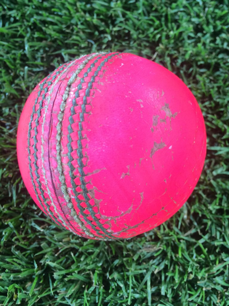 The pink ball from the first innings after 65 overs use. : r/Cricket