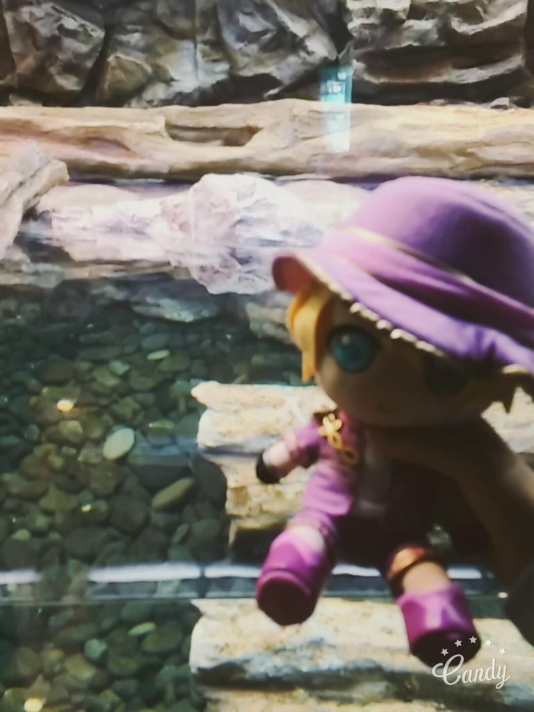 쿠루스 카오루 (@Up_kaoru_bot) | Twitter