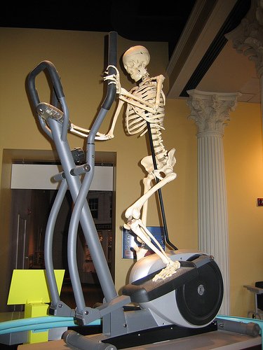 Elliptical Machine Memes