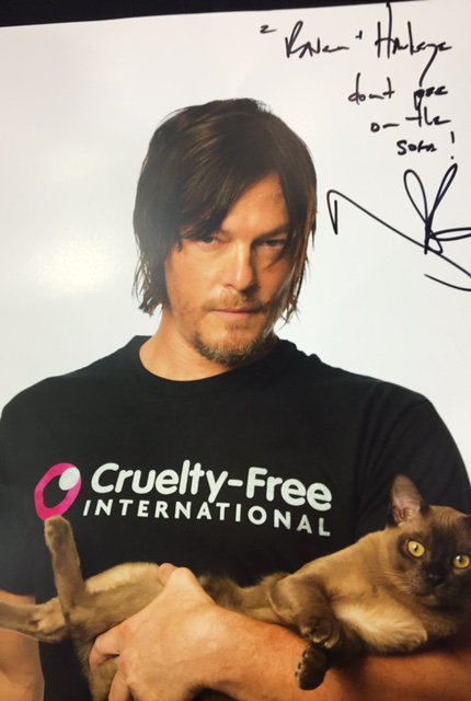 Norman Reedus Cat