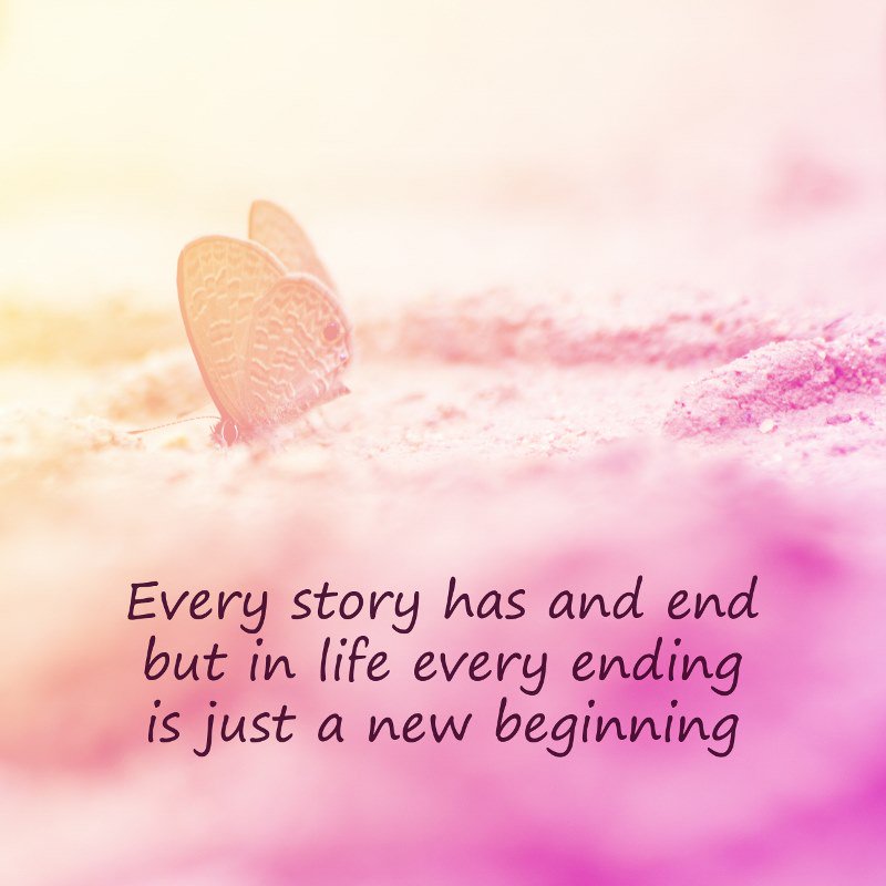 Every Story Has An End But In Life - Story Guest Every Story Has An End But In Life - Story Guest