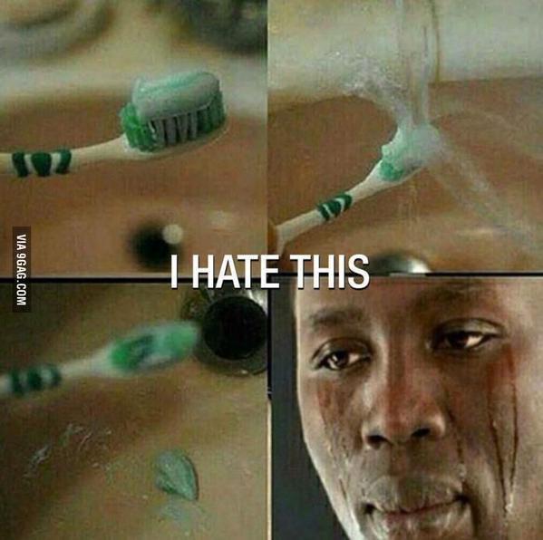 Amy Hayashi's Instagram, Twitter & Facebook on IDCrawl