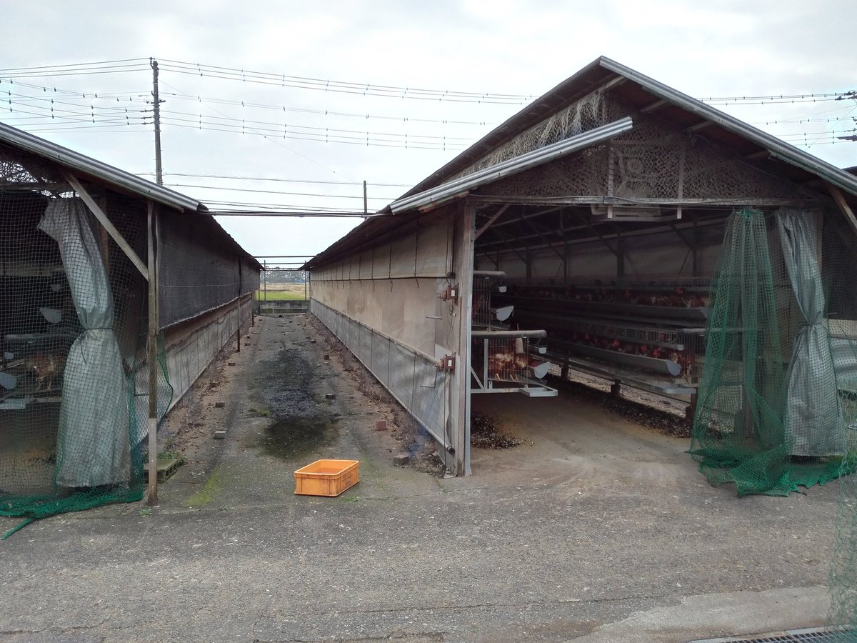 さとみん(@satomidesign) - Twilog (ツイログ)