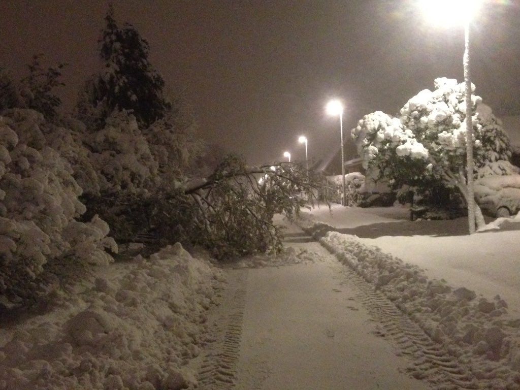 Denmark snowstorm..... |﻿ Weather Around The World