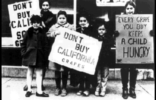 Cesar Chavez Grape Boycott