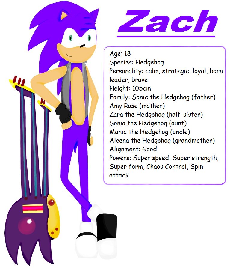 Super Zack The Hedgehog