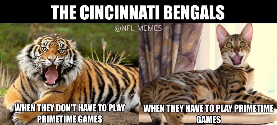Memes With Bengals