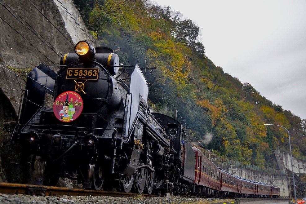 んちふぉと on Twitter: "11/23 5001ﾚ C58 363+12系+デキ201 波久礼〜樋口 同上 白久〜三峰口 5002ﾚ 同上 親鼻～上長瀞 https://t.co ...