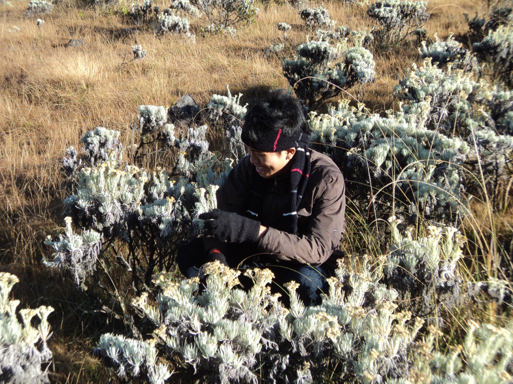 muhilal asrofi (@muhilalomen) | Twitter