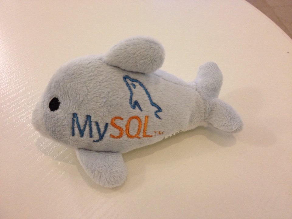 Mysql Dolphin