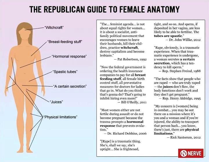 Transgender Anatomy Diagram