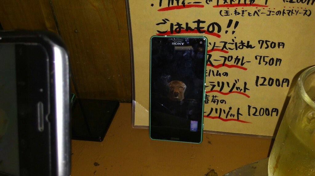 orefolder on Twitter: "#裏Xperiaアンバサダー 沖縄からのゲスト。 https://t.co/WVPkxtEfyP"