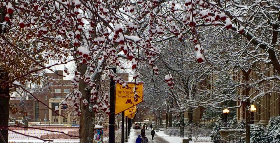 Upenn Campus Winter