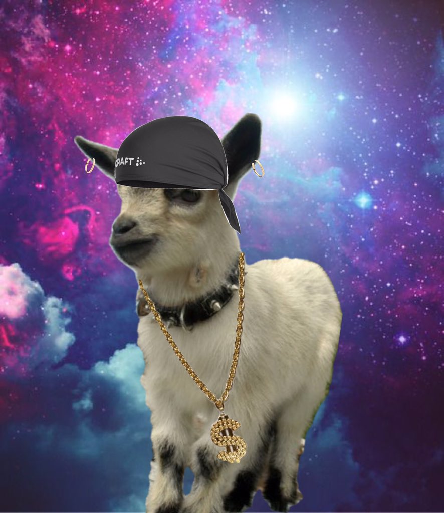 Goats In Space
