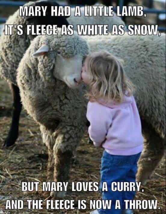 Funny Sheep Jokes