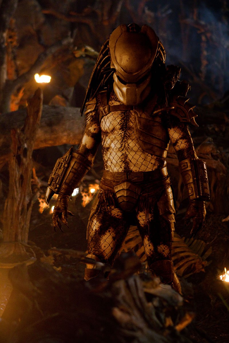 Berserker Predator Vs Classic Predator