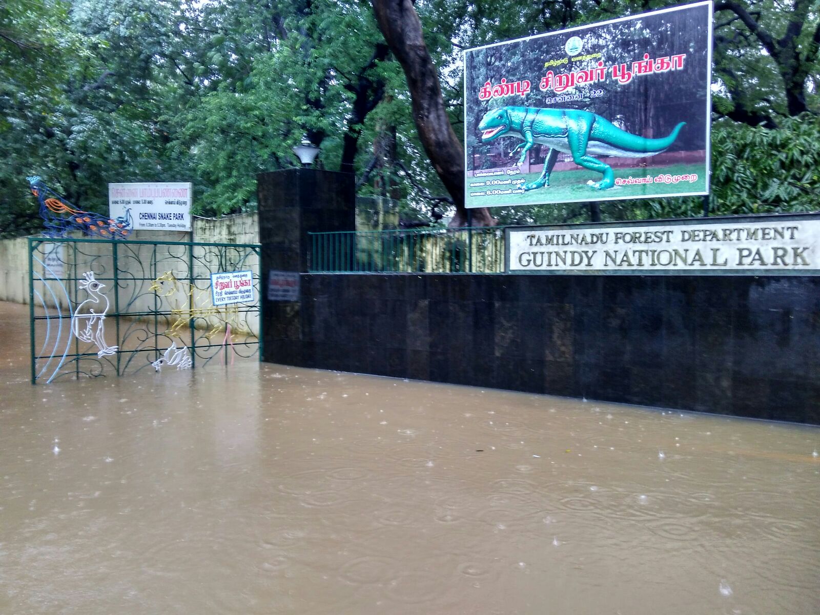 Guindy National Park And Snake Park
