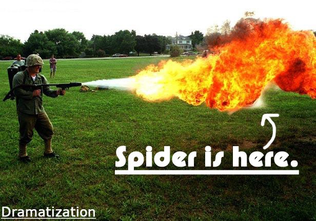 Blow Torch Spider Memes #MemeCut #killerspider #spider #clown #burn